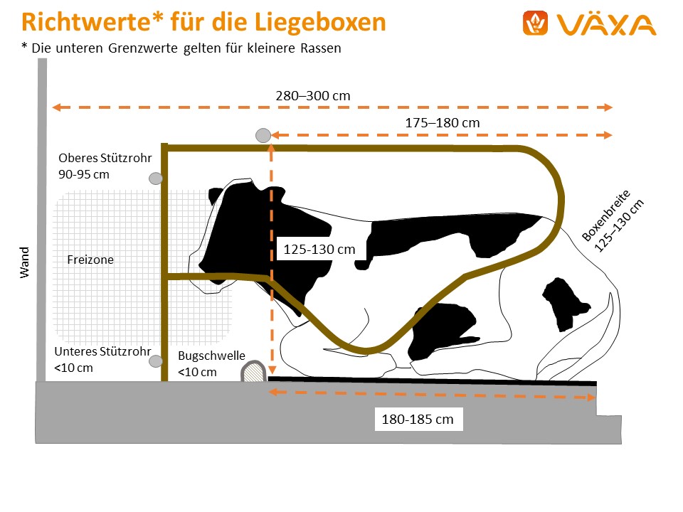 Komfortable Liegeboxen | Cow Care Companion